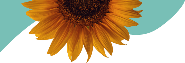 Allen Park - The place for new beginnings